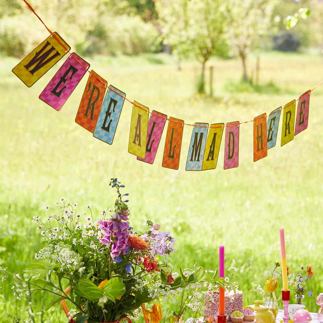 Alice in Wonderland Bright Multi Coloured Double Sided Bunting - 3m ...