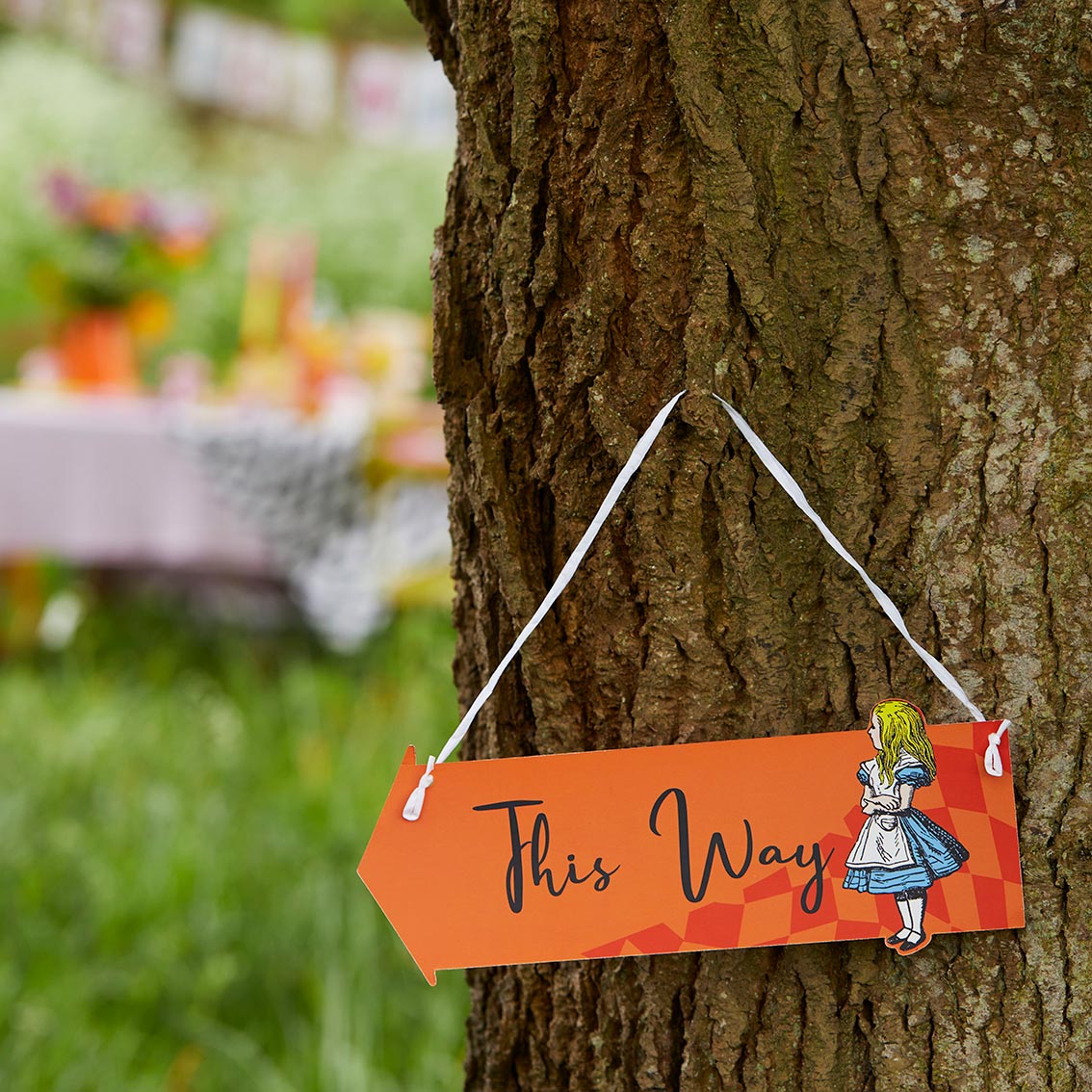 Alice in Wonderland Bright Hanging Paper Sign Decorations - 12 Pack ...