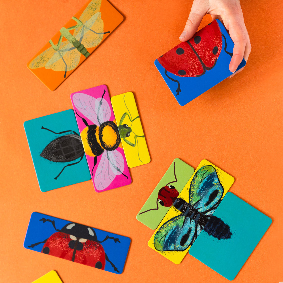 Bug Mash Up Family Card Game - Default Title - Talking Tables UK