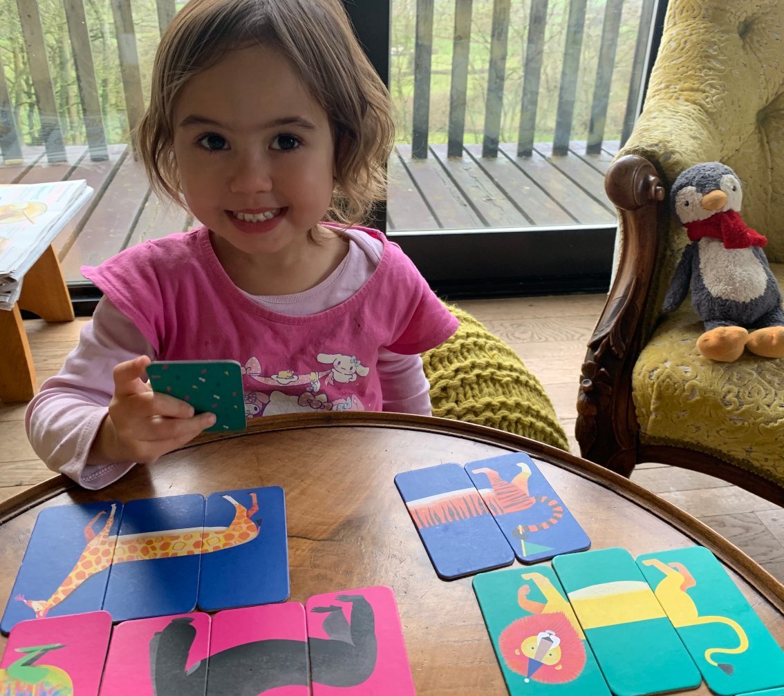 Children’s Animals Mix-Up Game - Talking Tables UK